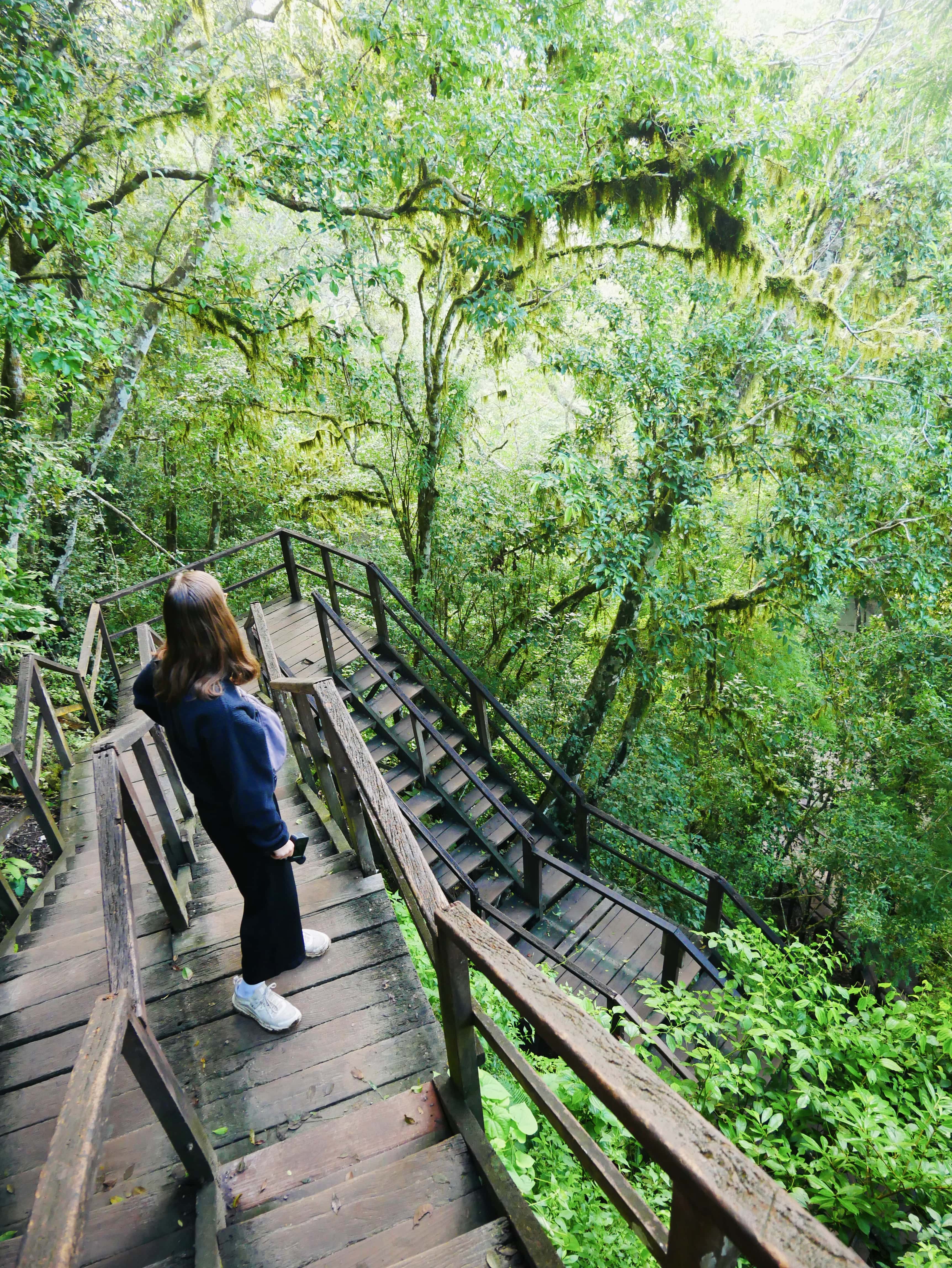 Tikal et Yaxhá : guide pour visiter les cités mayas du Guatemala – Le ...