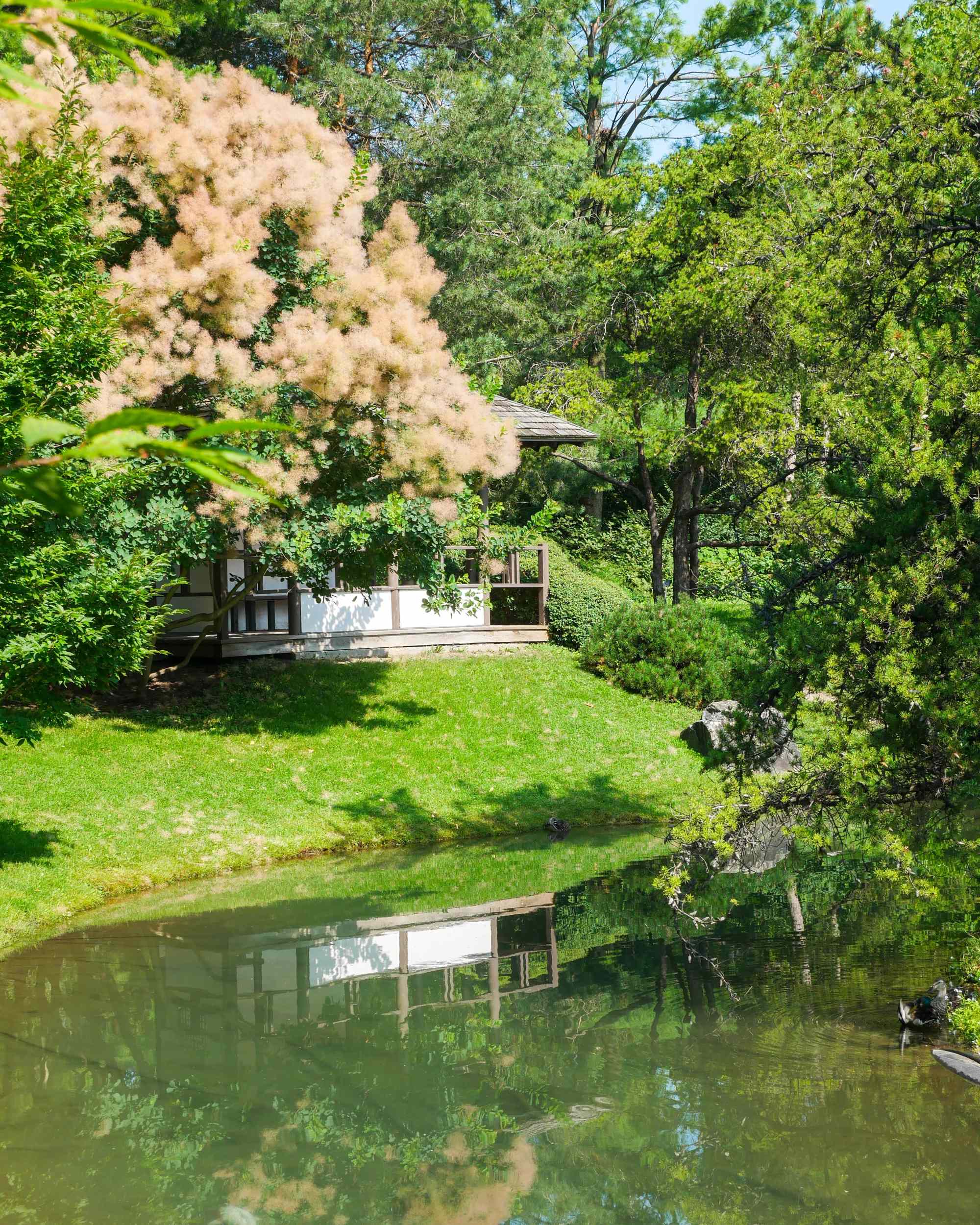Le Jardin Botanique de Montréal : infos pratiques, bons plans et photos ...
