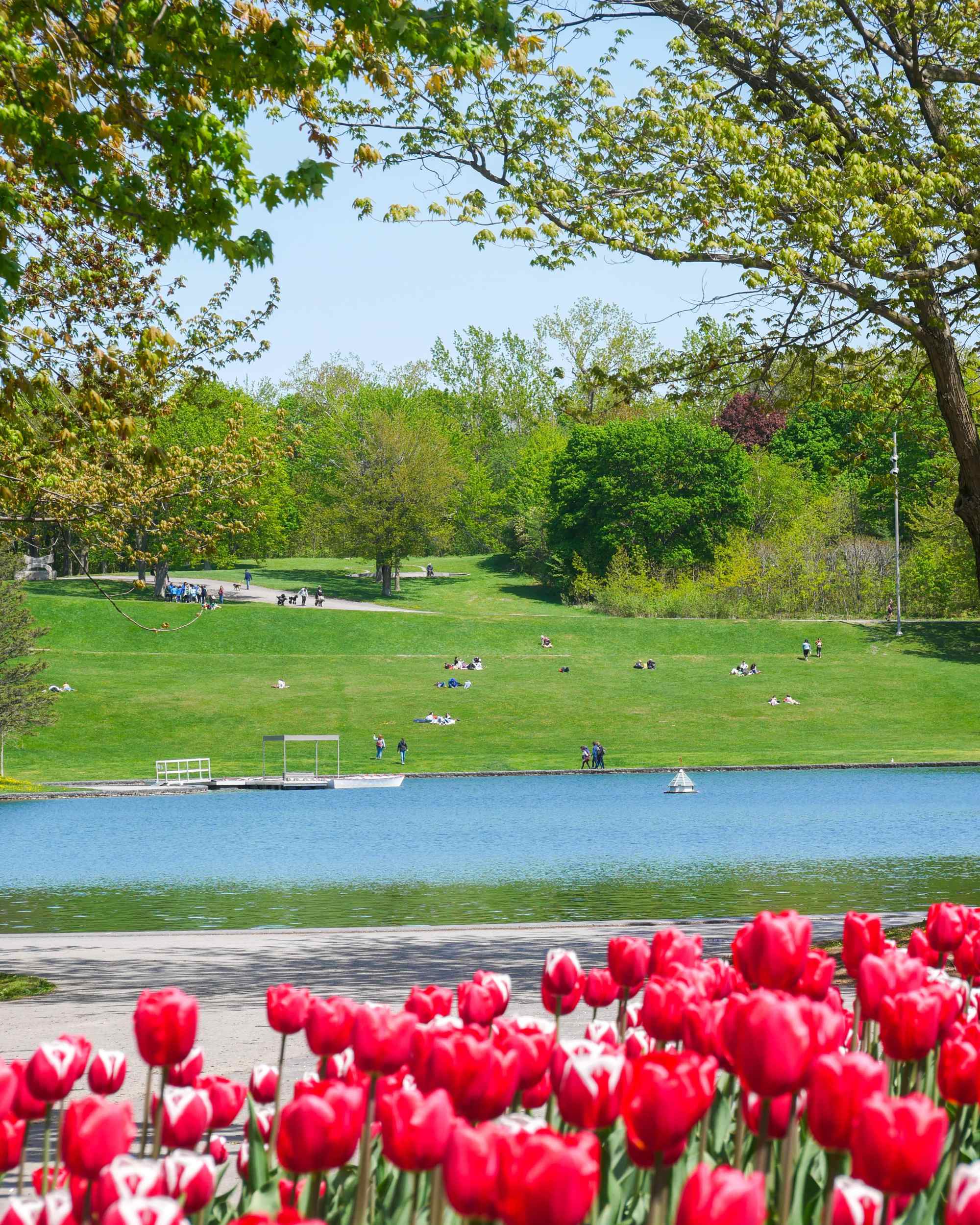 Quand visiter Montréal : guide complet des saisons – Le temps d'un week ...